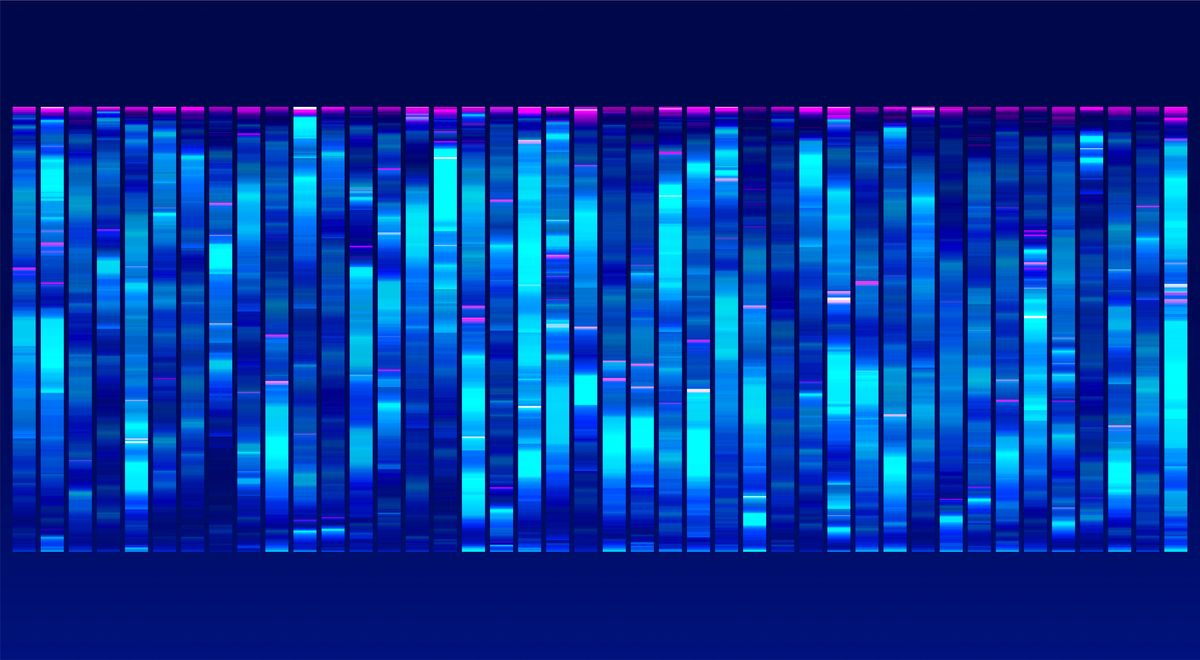 Novel DNA Nano Engine